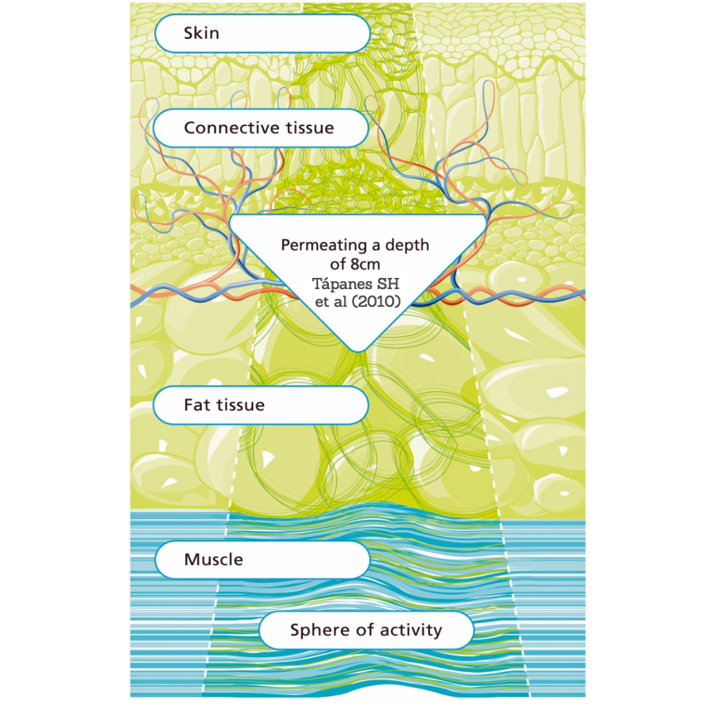 Introduction to Deep Oscillation Therapy: What It Is and How It Works ...